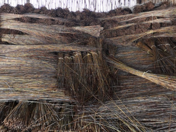 Thatching reed - Die Pale Depot